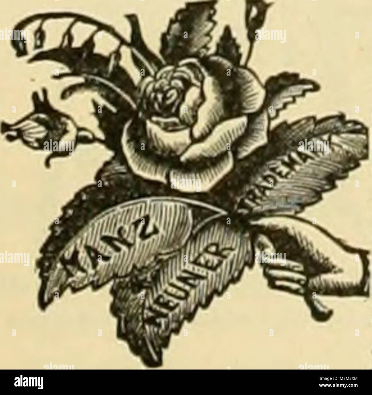 The *American Bee Journal* of 1881 offers insights into the practice of ...