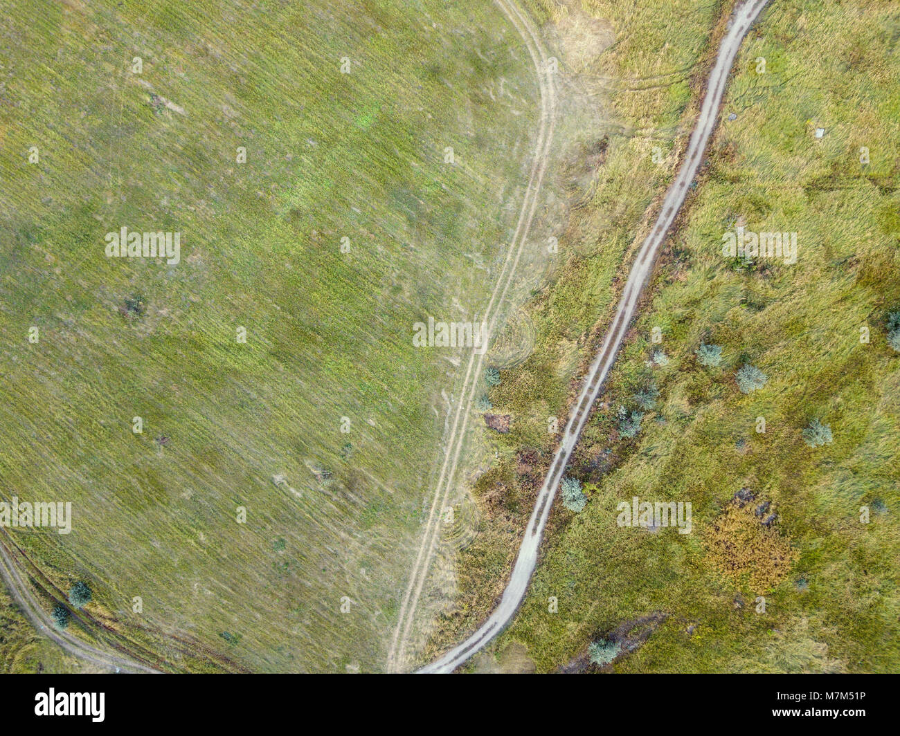 Forest and field with a trail aerial photography Stock Photo - Alamy