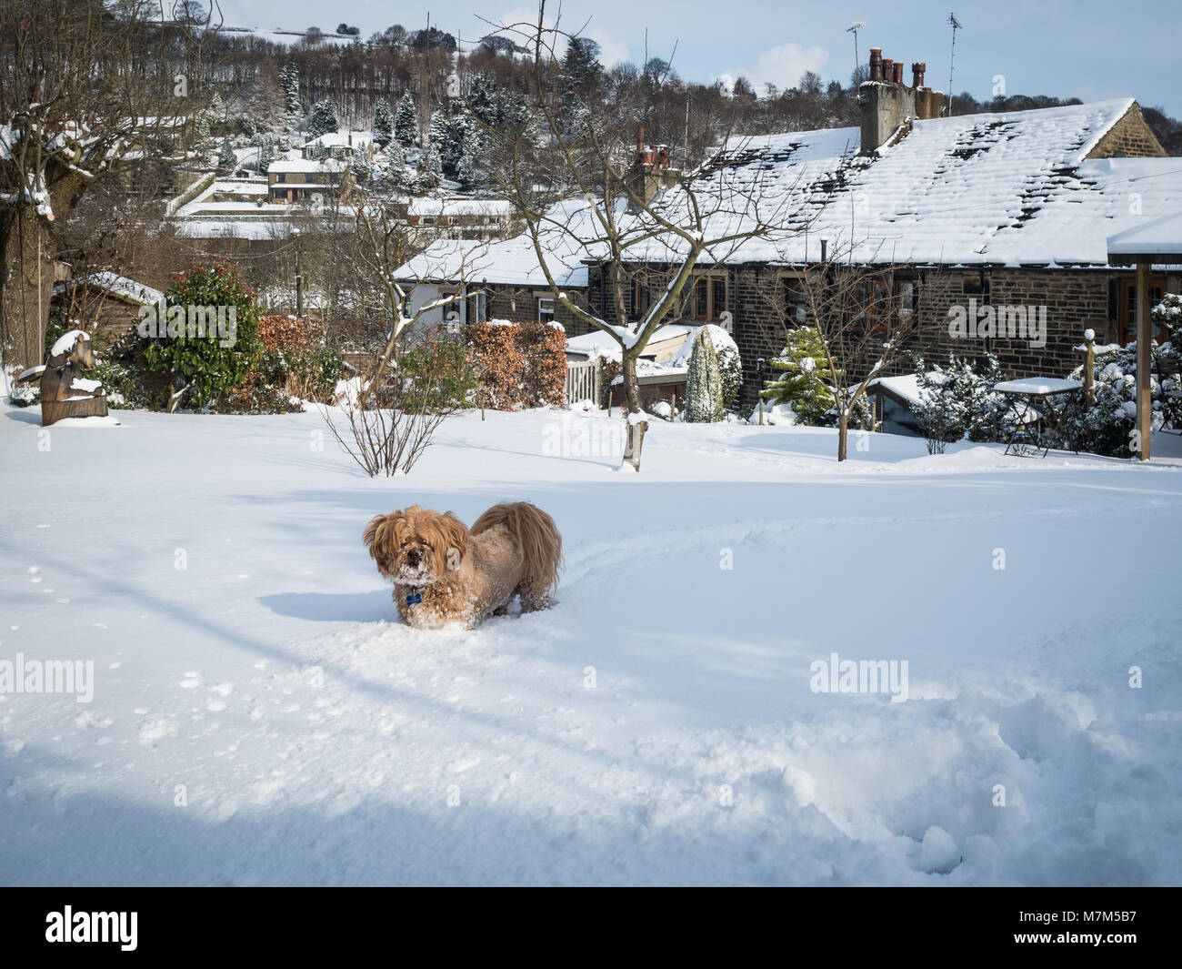 Olympus em5 hi-res stock photography and images - Alamy