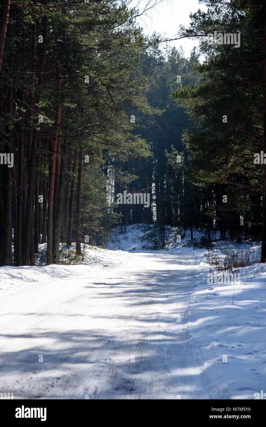 snowy winter road covered in deep snow with car tire tracks going in ...