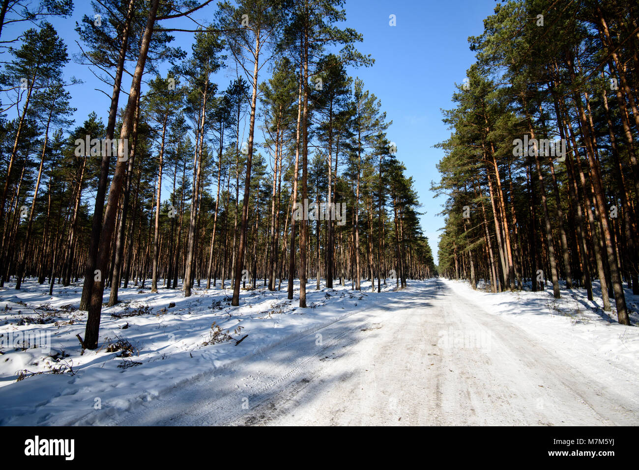 snowy winter road covered in deep snow with car tire tracks going in ...