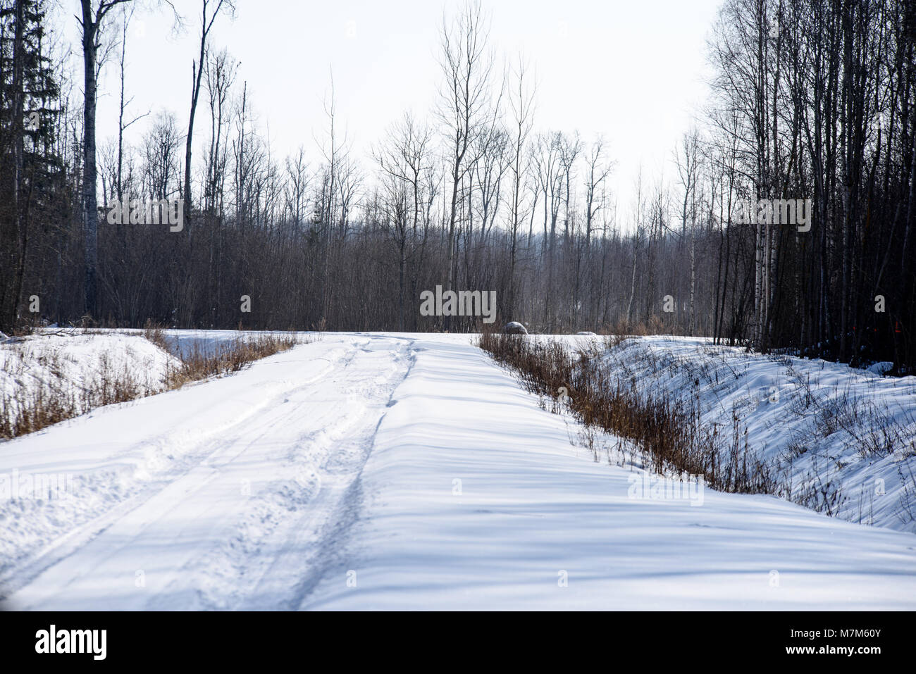 snowy winter road covered in deep snow with car tire tracks going in ...