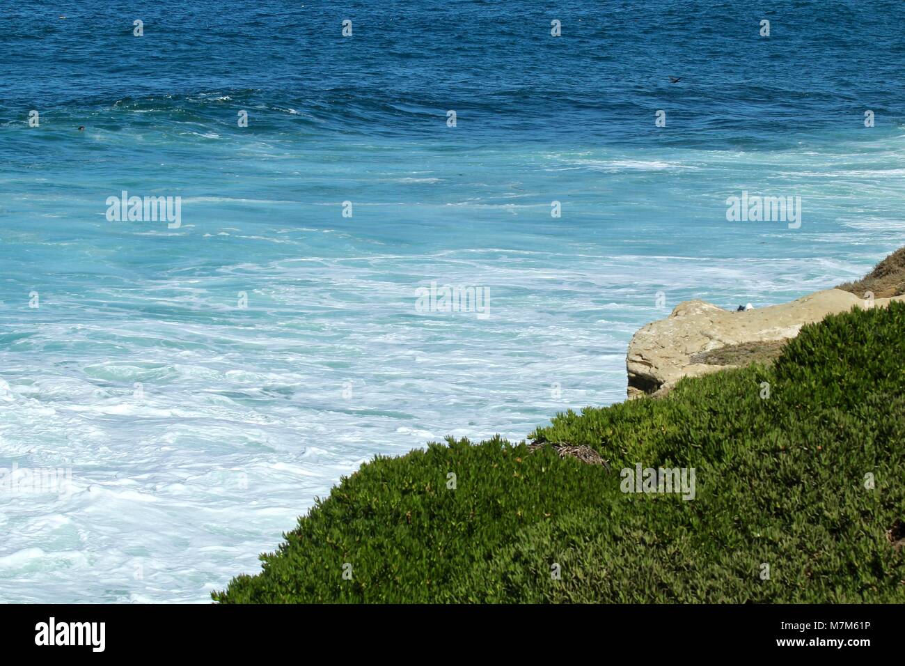 Cliff overlooking the Pacific Ocean in La Jolla Stock Photo - Alamy
