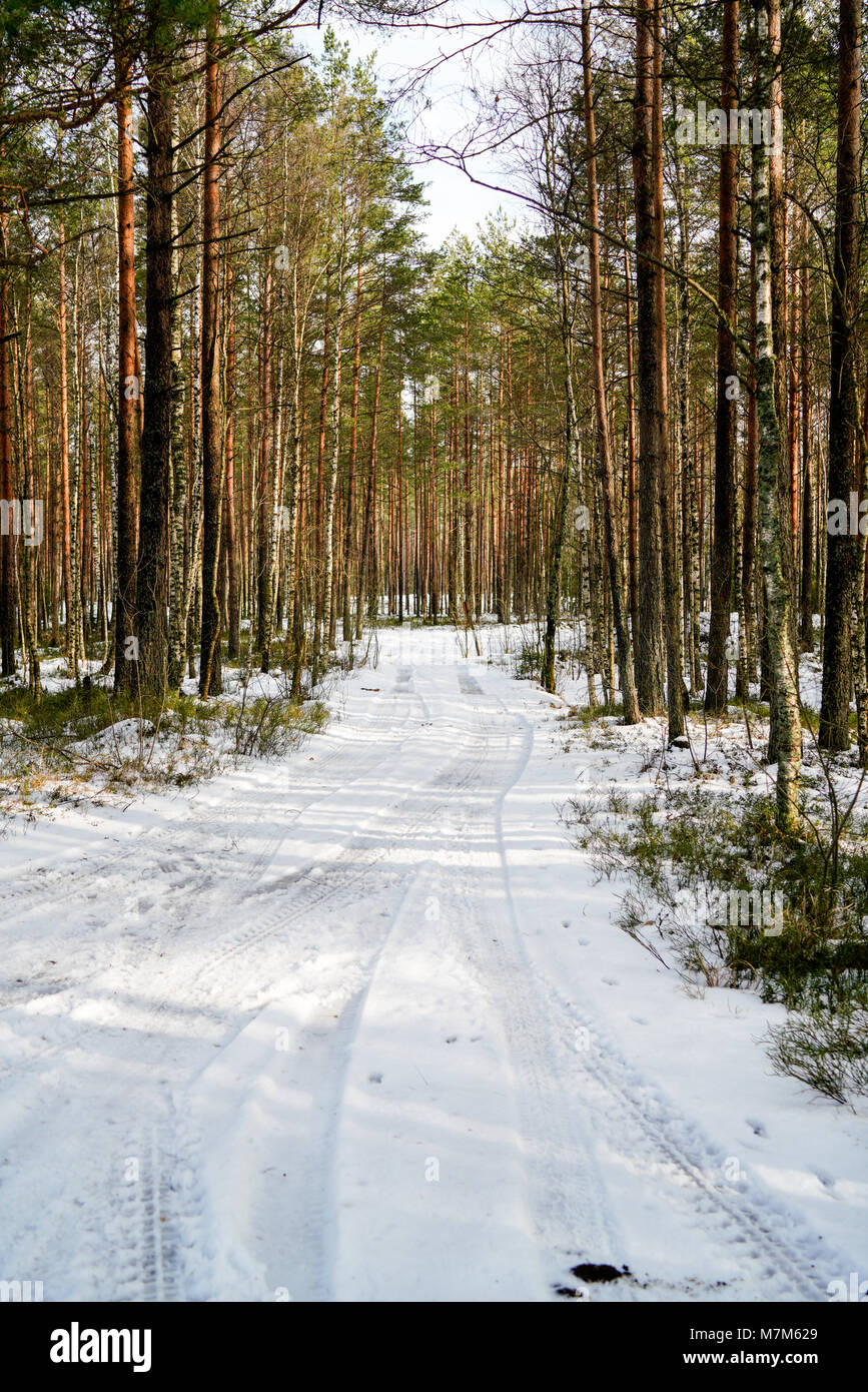 snowy winter road covered in deep snow with car tire tracks going in ...