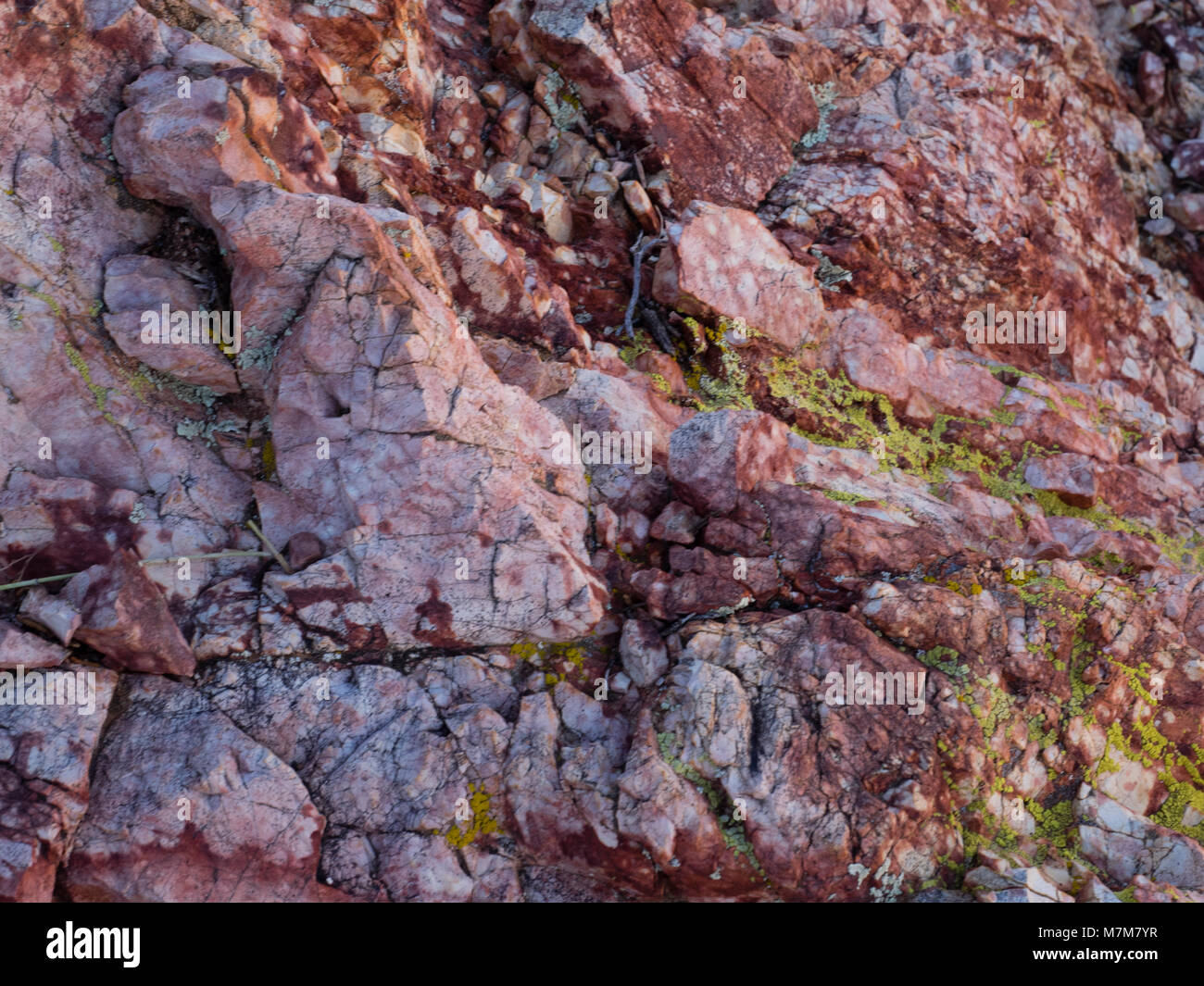 Pink and maroon hi-res stock photography and images - Alamy
