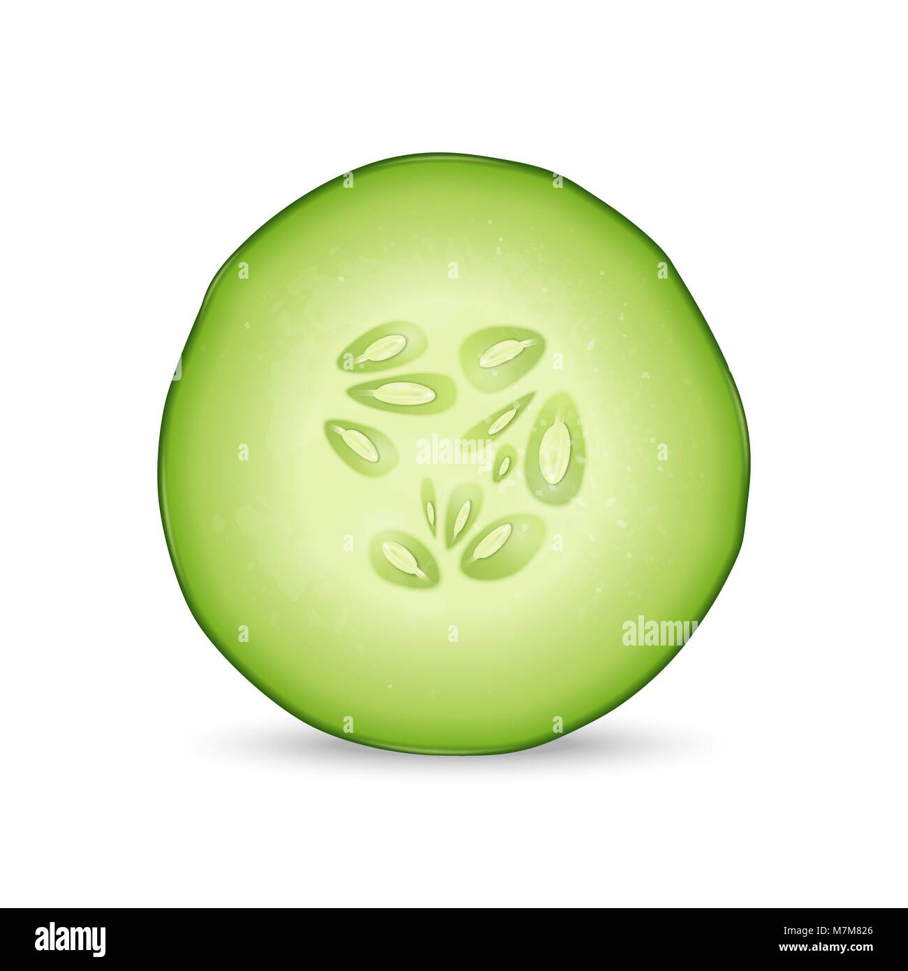 Photo-realistic 3d slice juicy cucumber icon closeup isolated on white ...
