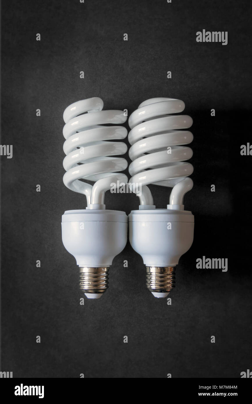 Two energy efficient high power fluorescent photographic light bulbs on ...