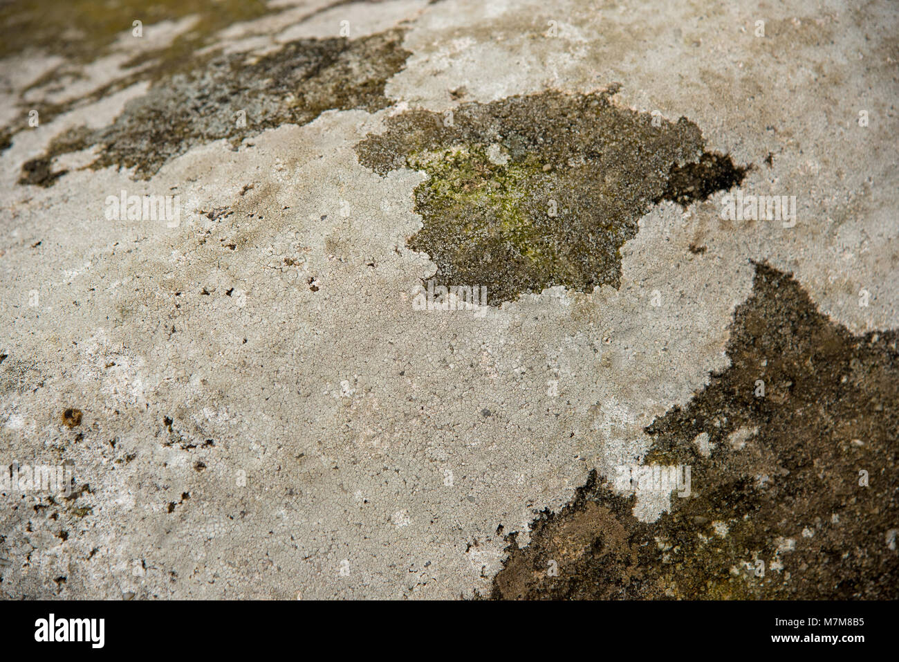 Rock macro hi-res stock photography and images - Alamy