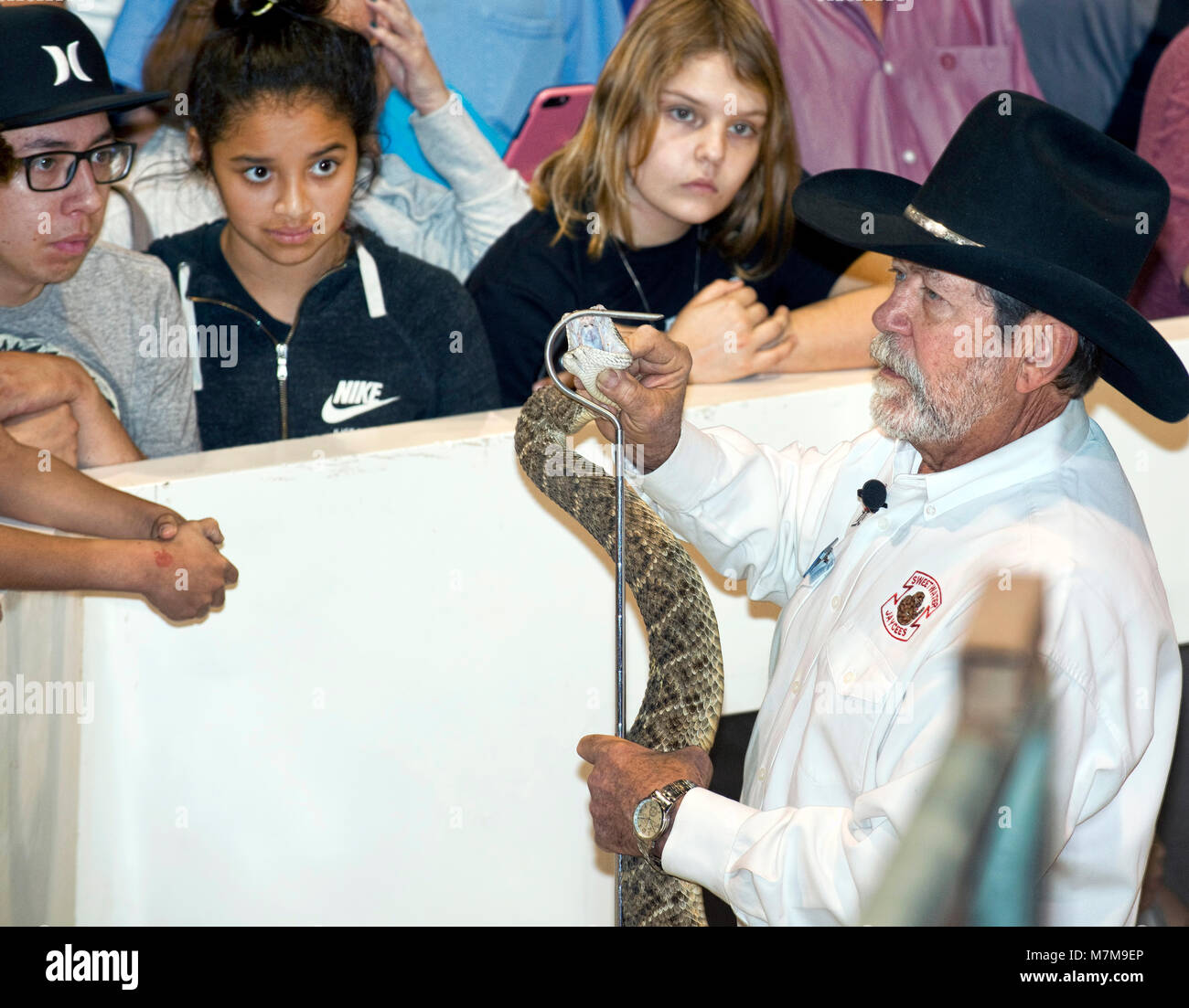 Rattlesnake roundup in texas hi-res stock photography and images - Alamy