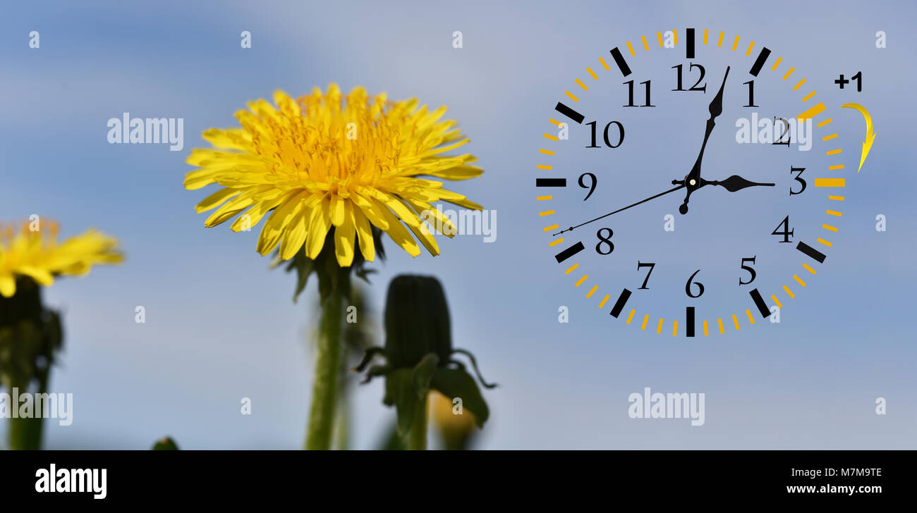 Daylight Saving Time. DST. Wall Clock going to winter time Stock Photo ...