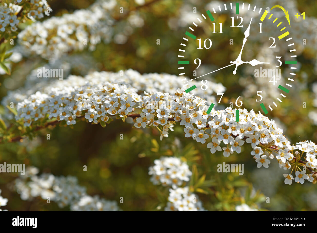 Daylight Saving Time. DST. Wall Clock going to winter time Stock Photo ...