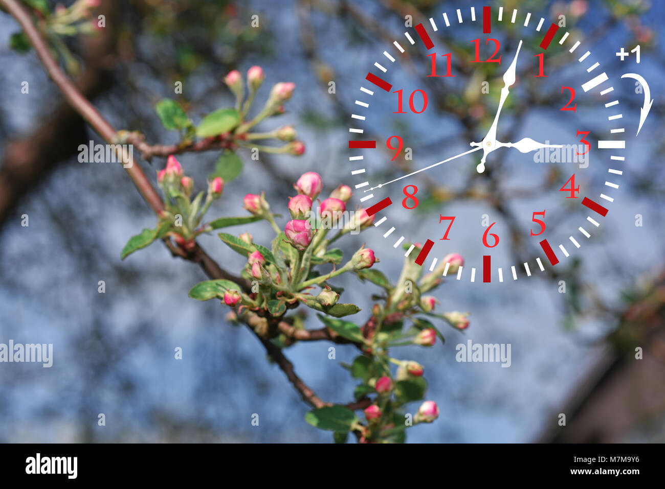Daylight Saving Time. DST. Wall Clock going to winter time Stock Photo ...