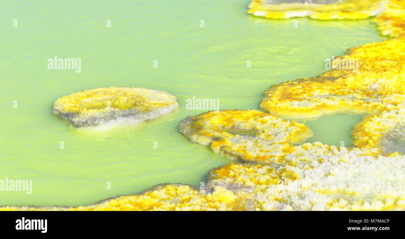 in danakil ethiopia africa the volcanic depression of dallol Stock ...