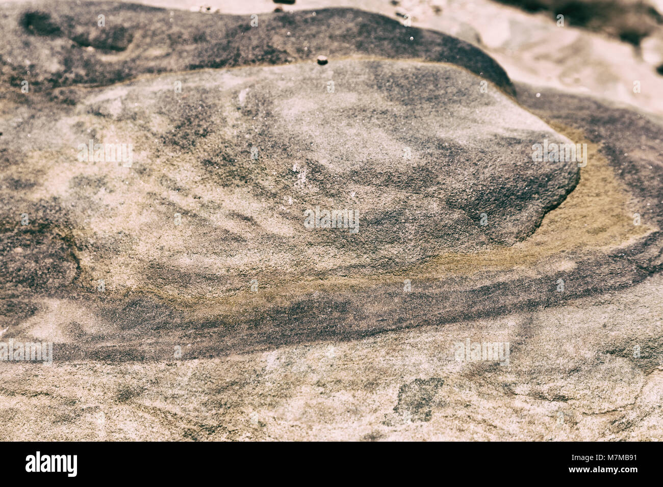 abstract background texture of the rock in the nature and empty space ...
