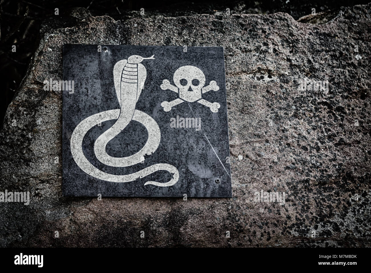 in south africa the metal signal of the danger for wild snake and the ...