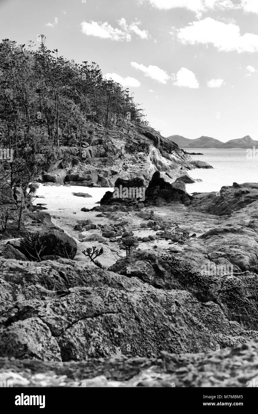 Whitehaven beach whitsunday island great barrier reef queensland Black ...