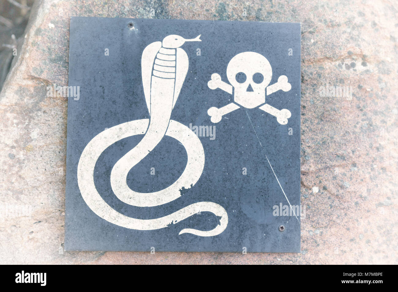 in south africa the metal signal of the danger for wild snake and the ...