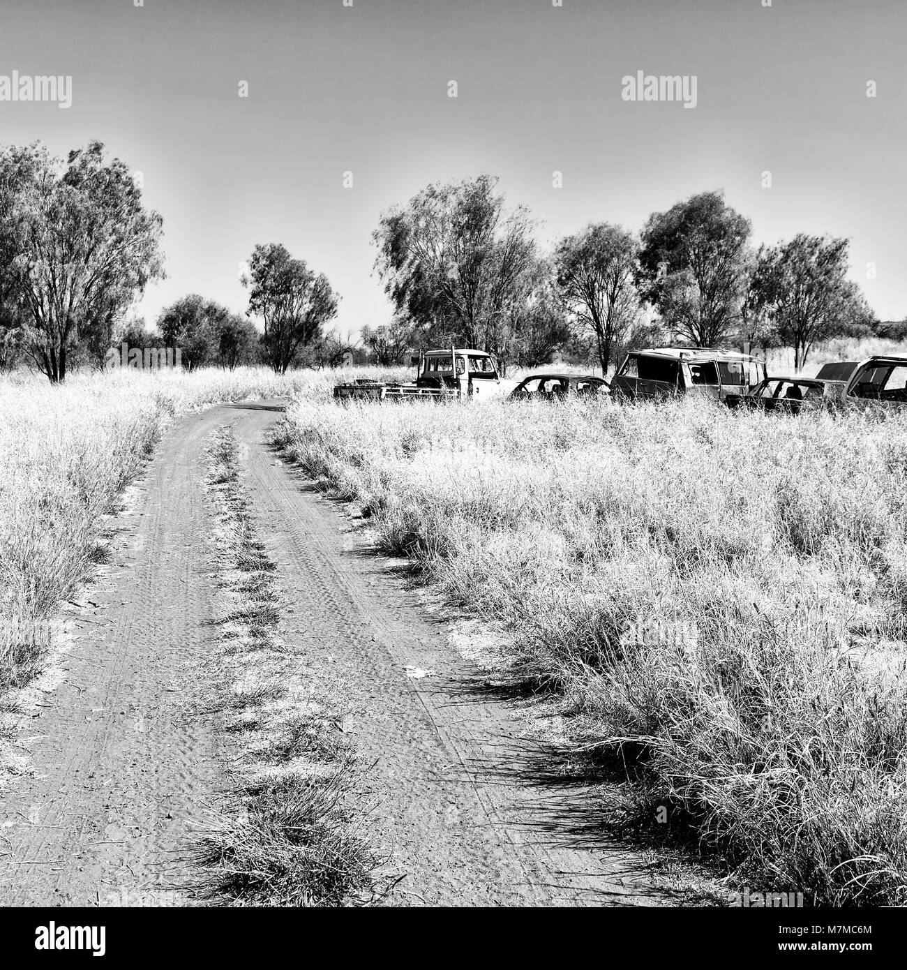 in australia in the outback old abandoned vintage rusty car Stock Photo ...