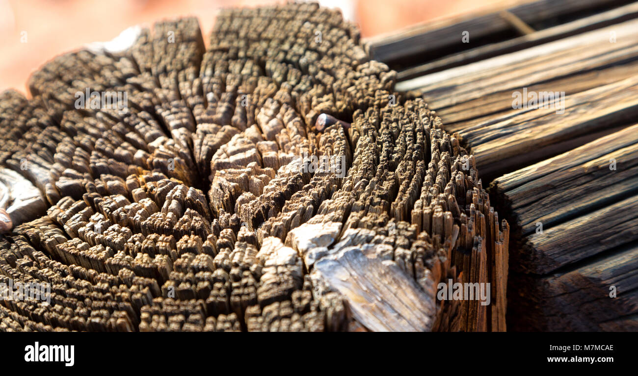 abstract texture of a surface tree like background grain Stock Photo ...