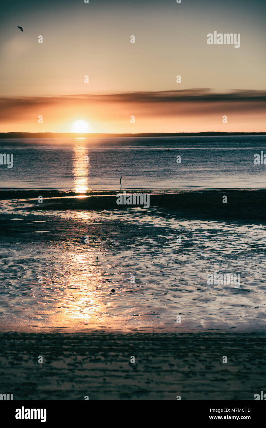 in australia the sunset in the ocean like concept of relax and holiday ...