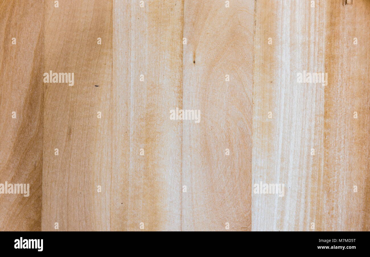 Taiga birch wood grain texture pattern background board Stock Photo - Alamy