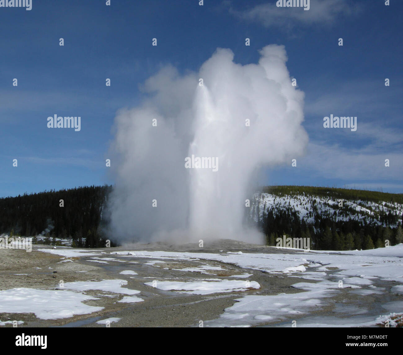 Old Faithful Geyser Old Faithful Geyser eruption Stock Photo - Alamy