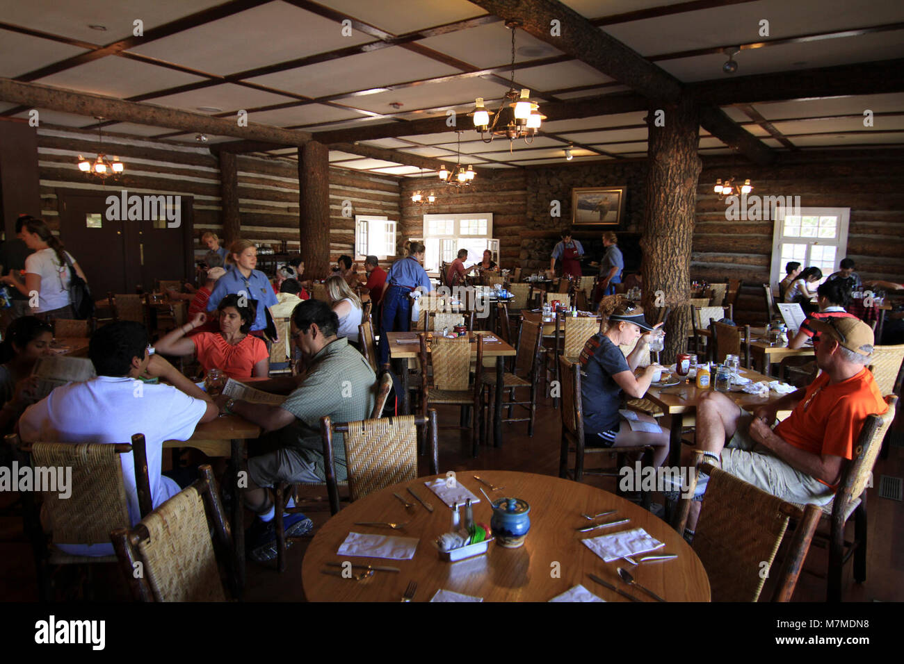 Roosevelt Lodge, dining room Roosevelt Lodge dining room Stock Photo ...