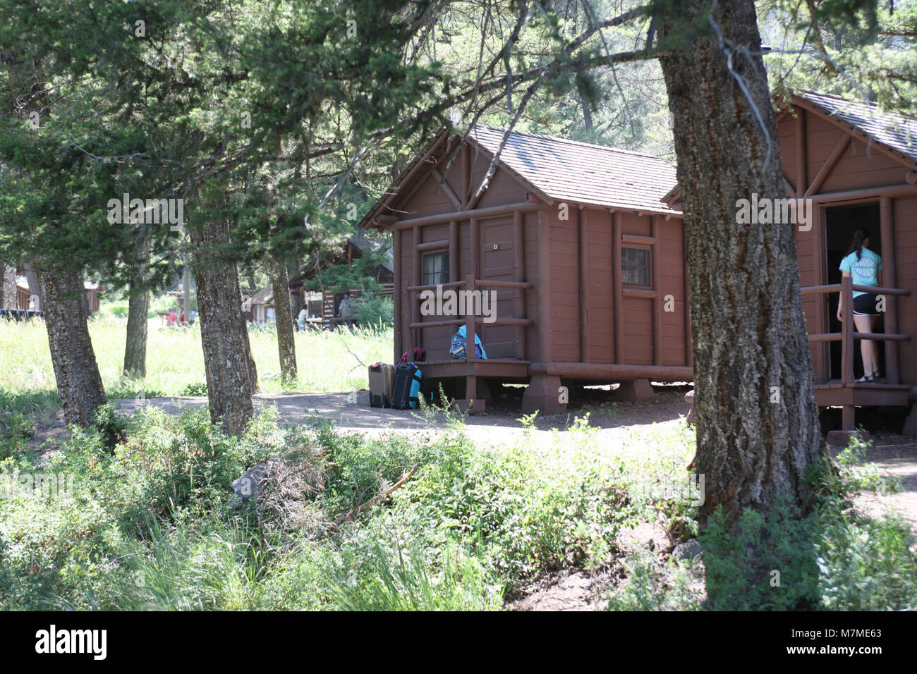 Roosevelt Lodge, front view of cabins Roosevelt Lodge cabins Stock ...