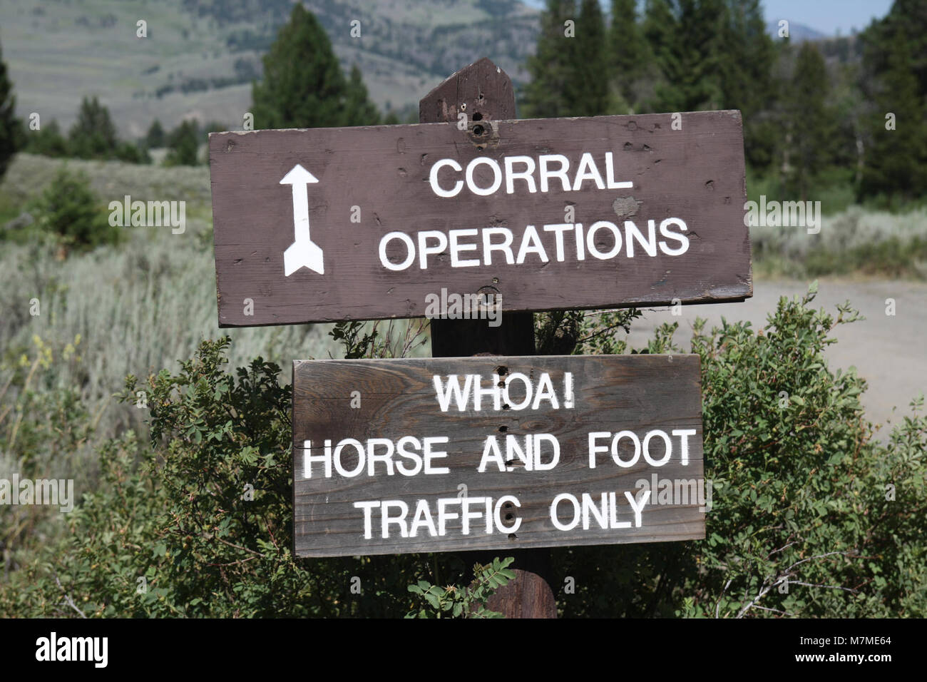 Roosevelt Lodge, sign pointing to the corral Roosevelt Lodge, sign ...