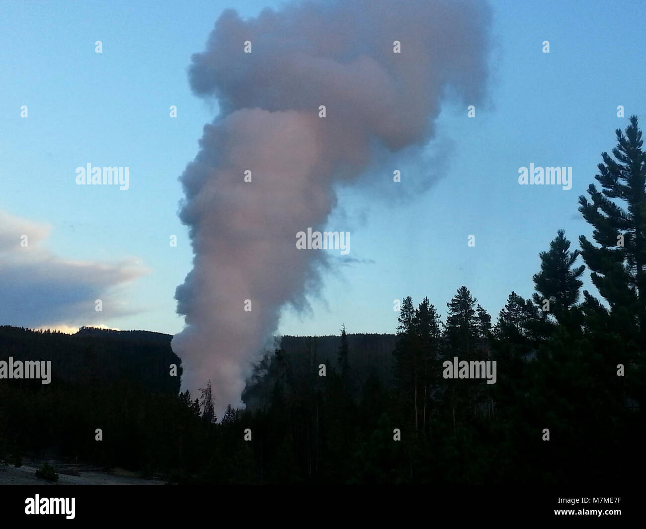 Steamboat Geyser eruption, steam phase Steamboat Geyser eruption, steam ...