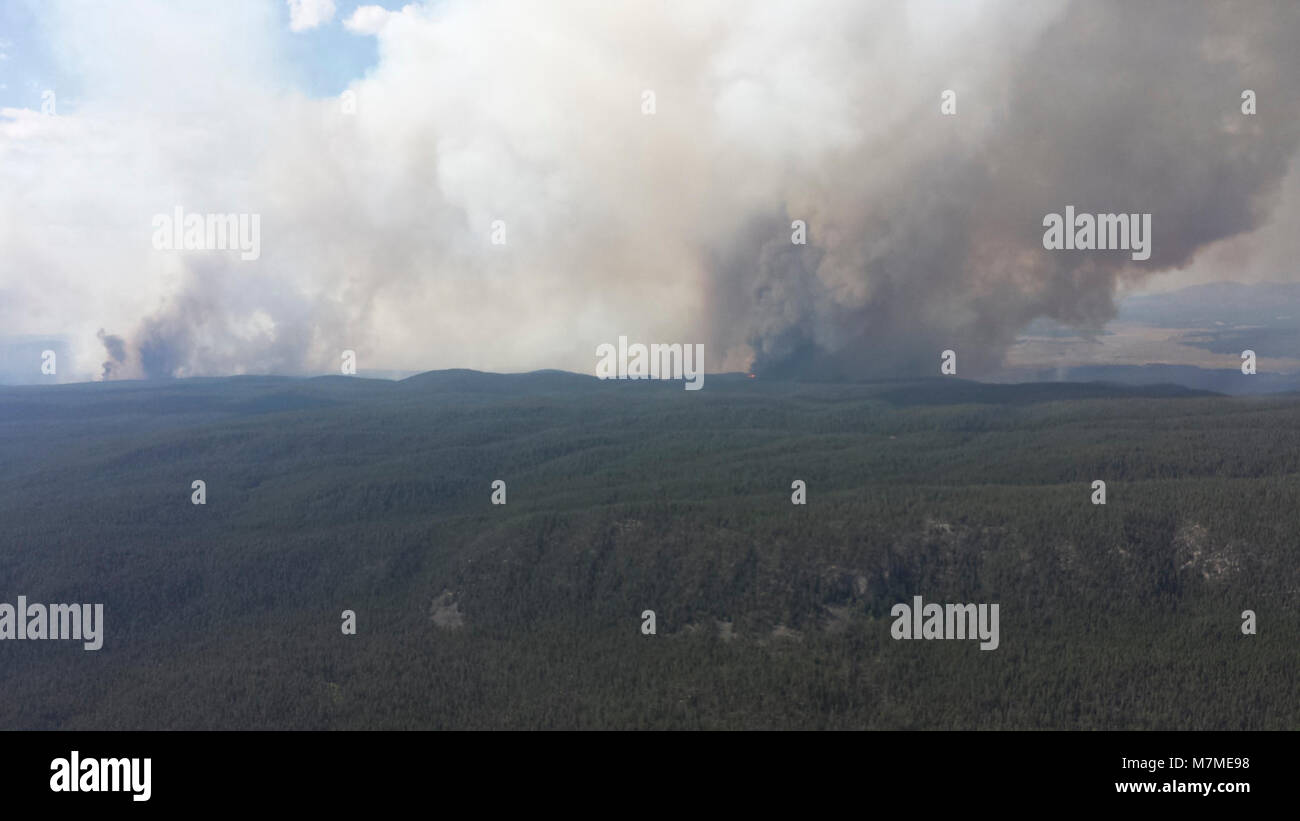 Wildfire in park.jpg Wildfire in the park Wildfire fire Stock Photo - Alamy