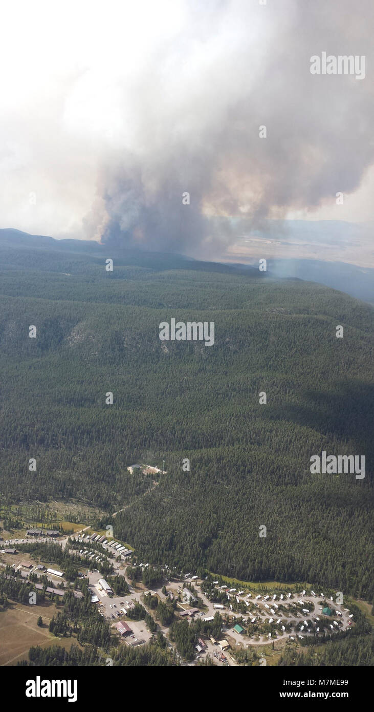 Wildfire in the park Wildfire fire Stock Photo - Alamy