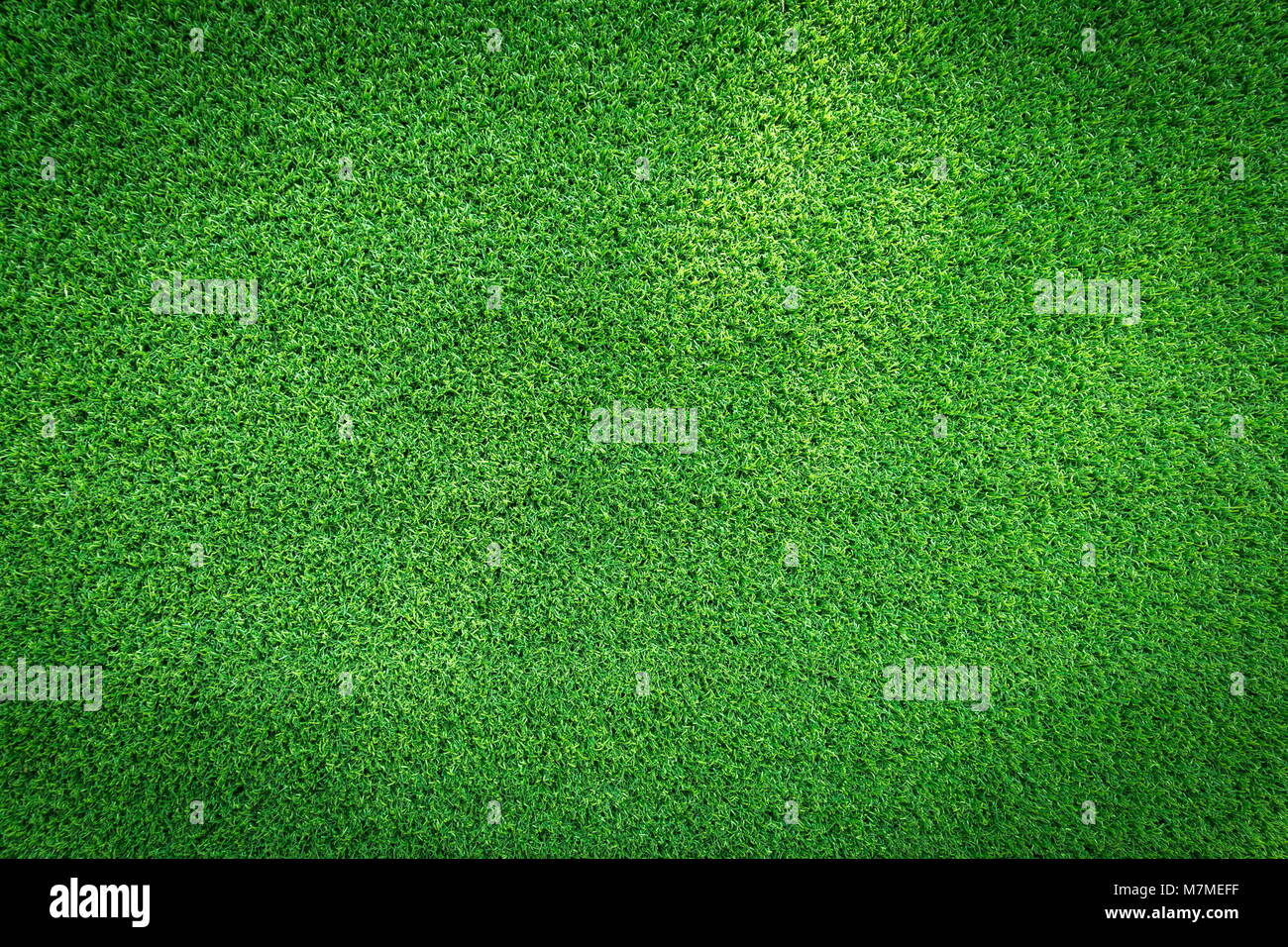 Grass field texture for golf course, soccer field or sports background ...