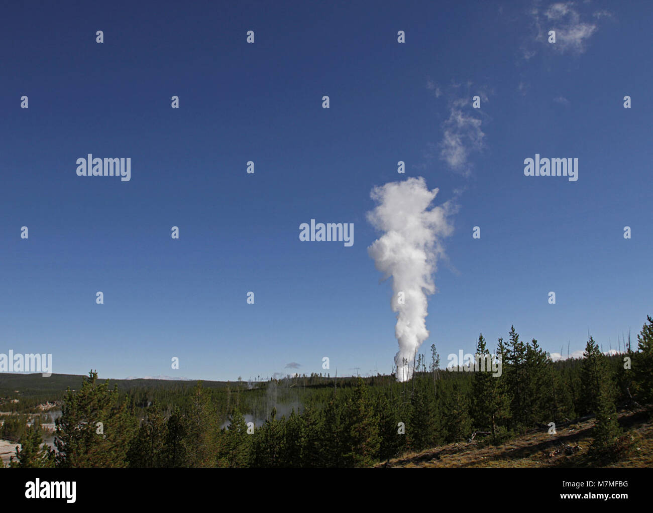 Steam phase of Steamboat Geyser, Norris Geyser Basin Steam phase of ...