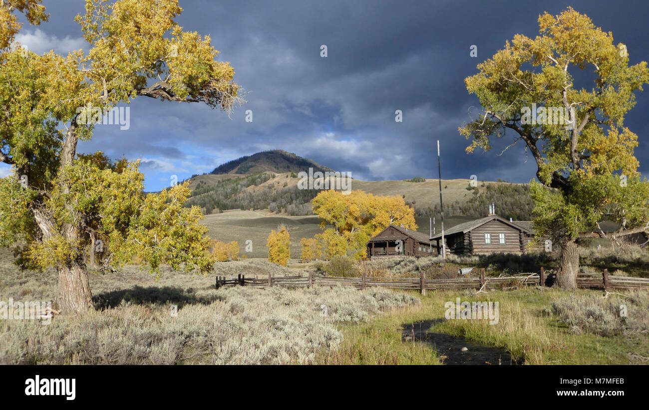 Buffalo Ranch in Lamar Valley Stock Photo - Alamy