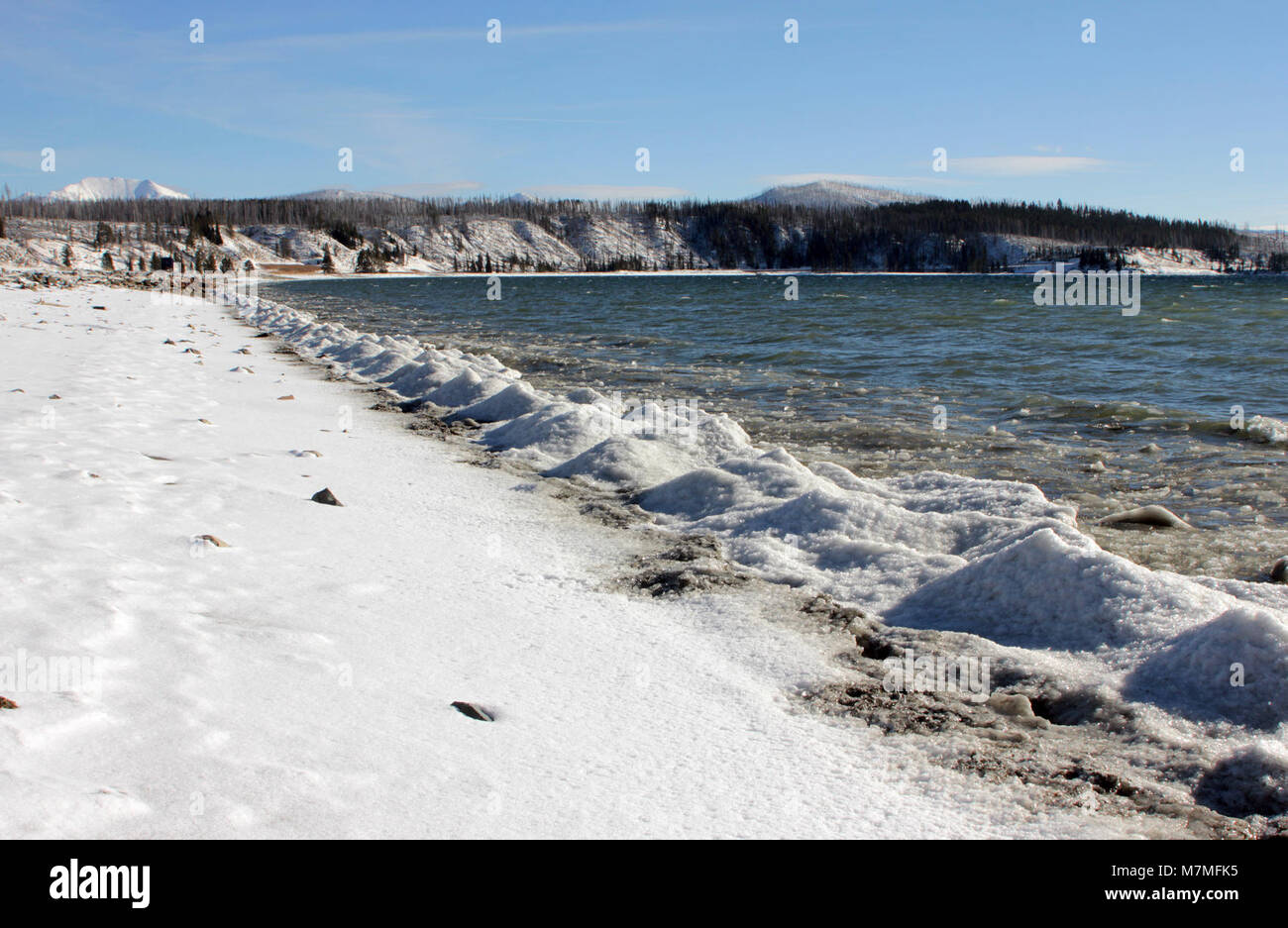 Ice along north shore of Yellowstone Lake Ice along north shore of ...