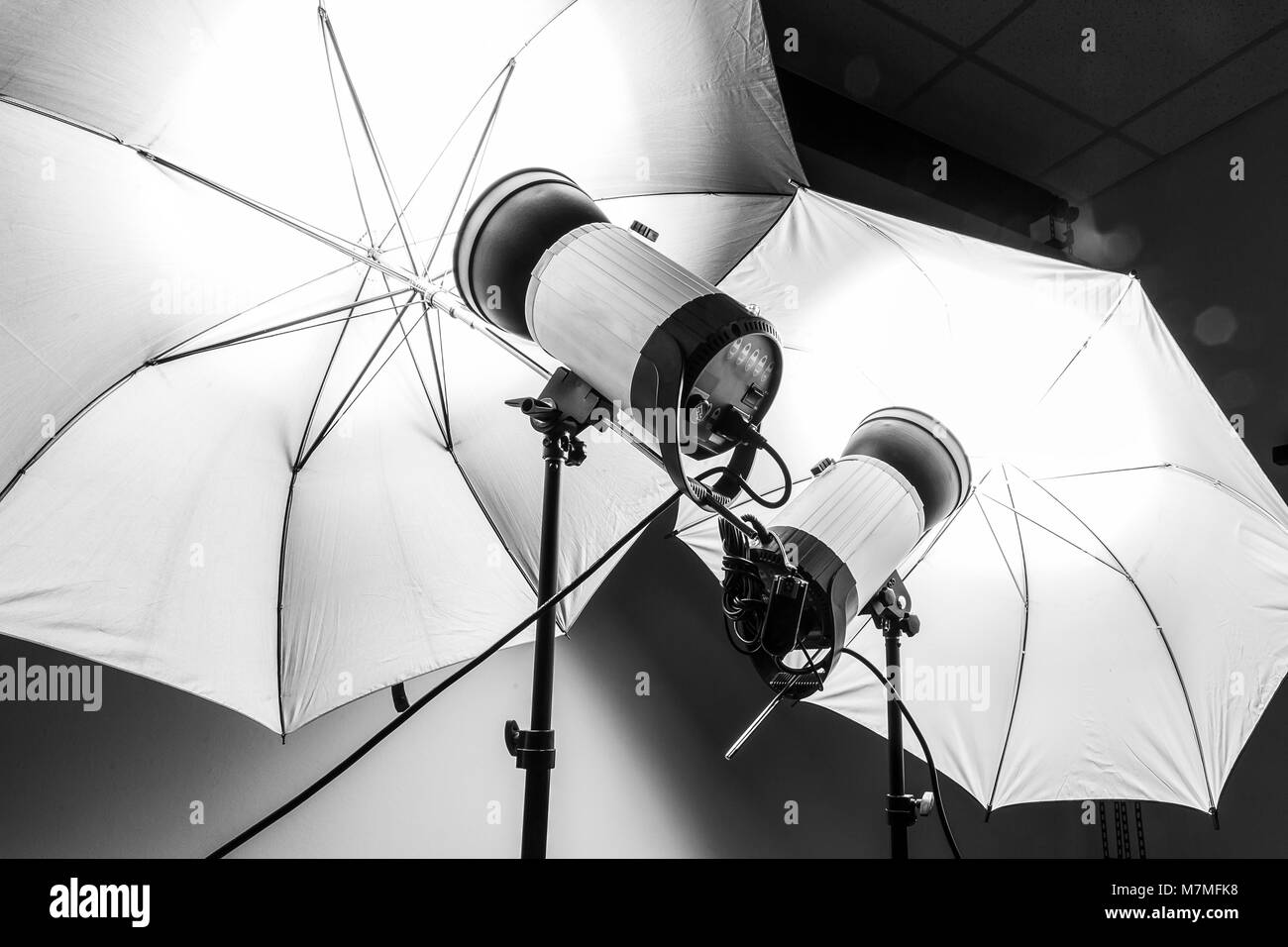 Close-up 2 studio flash in gray in the photo studio. Studio light for ...