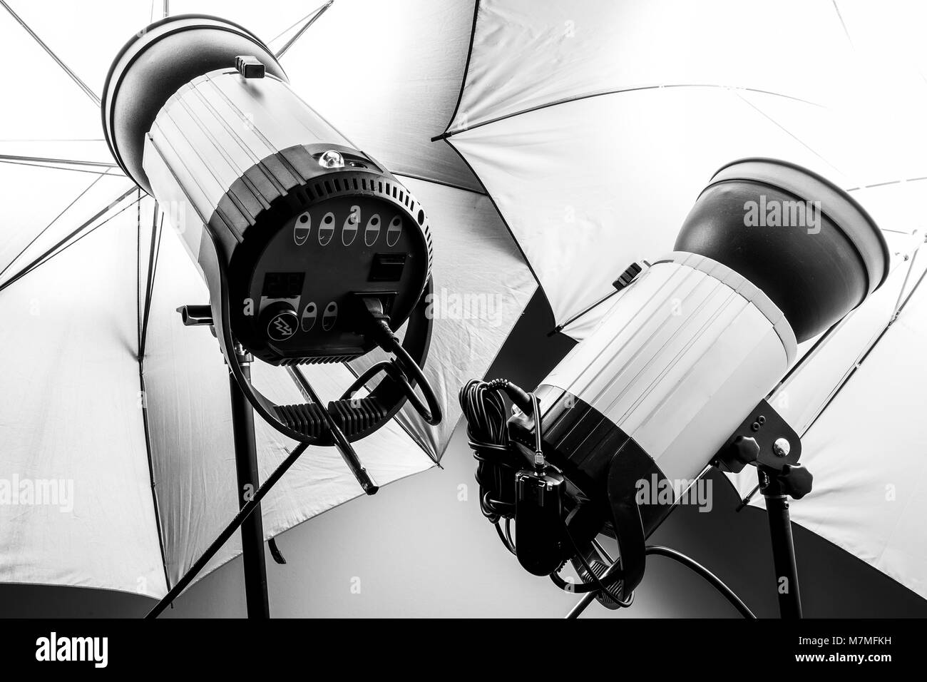 Close-up 2 studio flash in gray in the photo studio. Studio light for ...