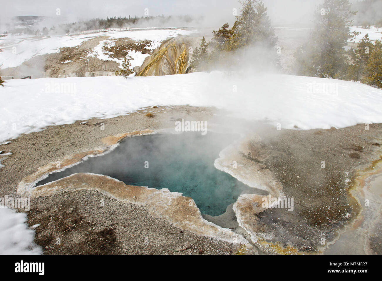 Blue Star Spring Blue Star Spring in the Upper Geyser Basin Stock Photo ...