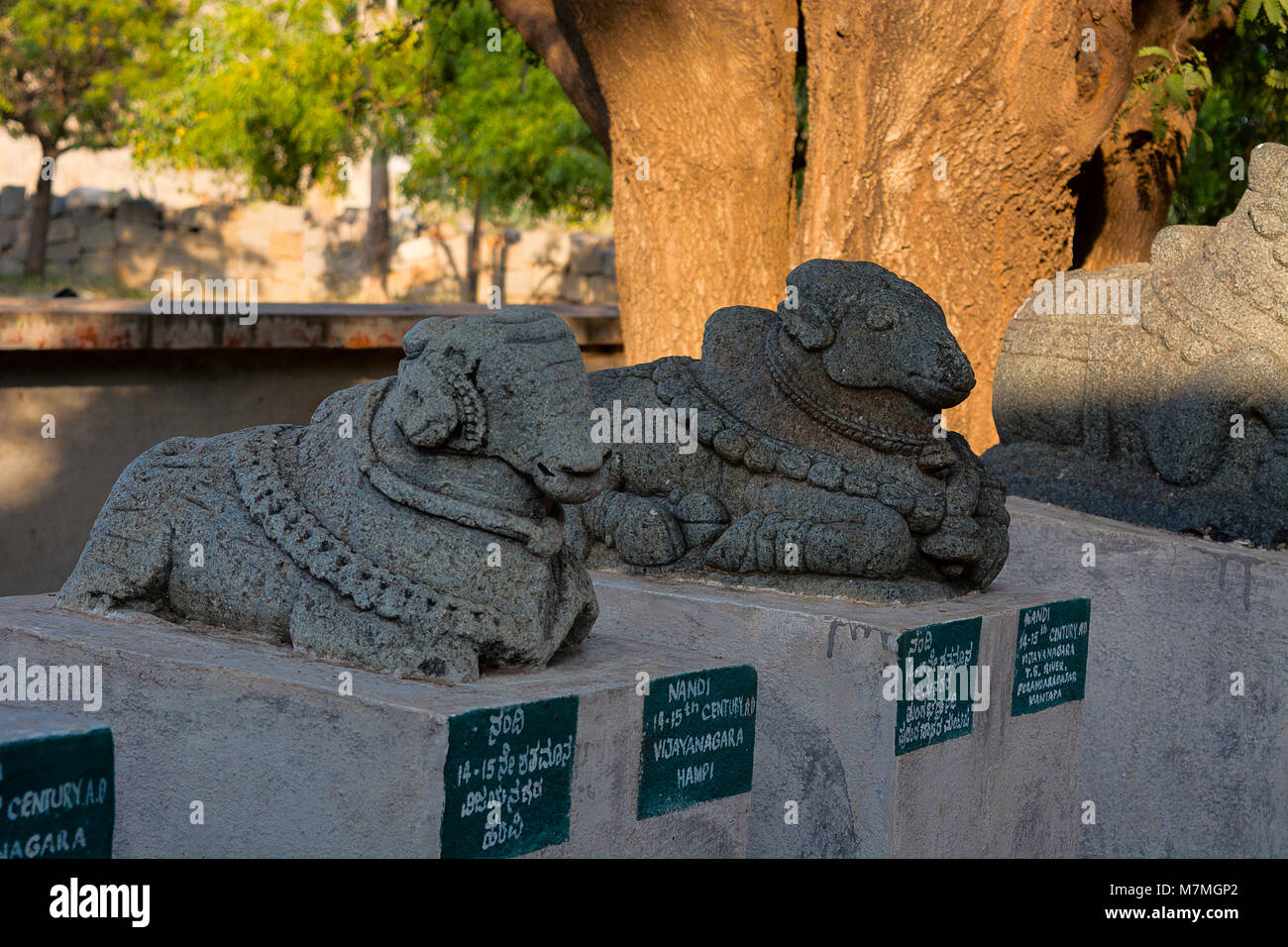 Nandi bull statues escavated, Hampi Monuments, Karnataka , India Stock ...