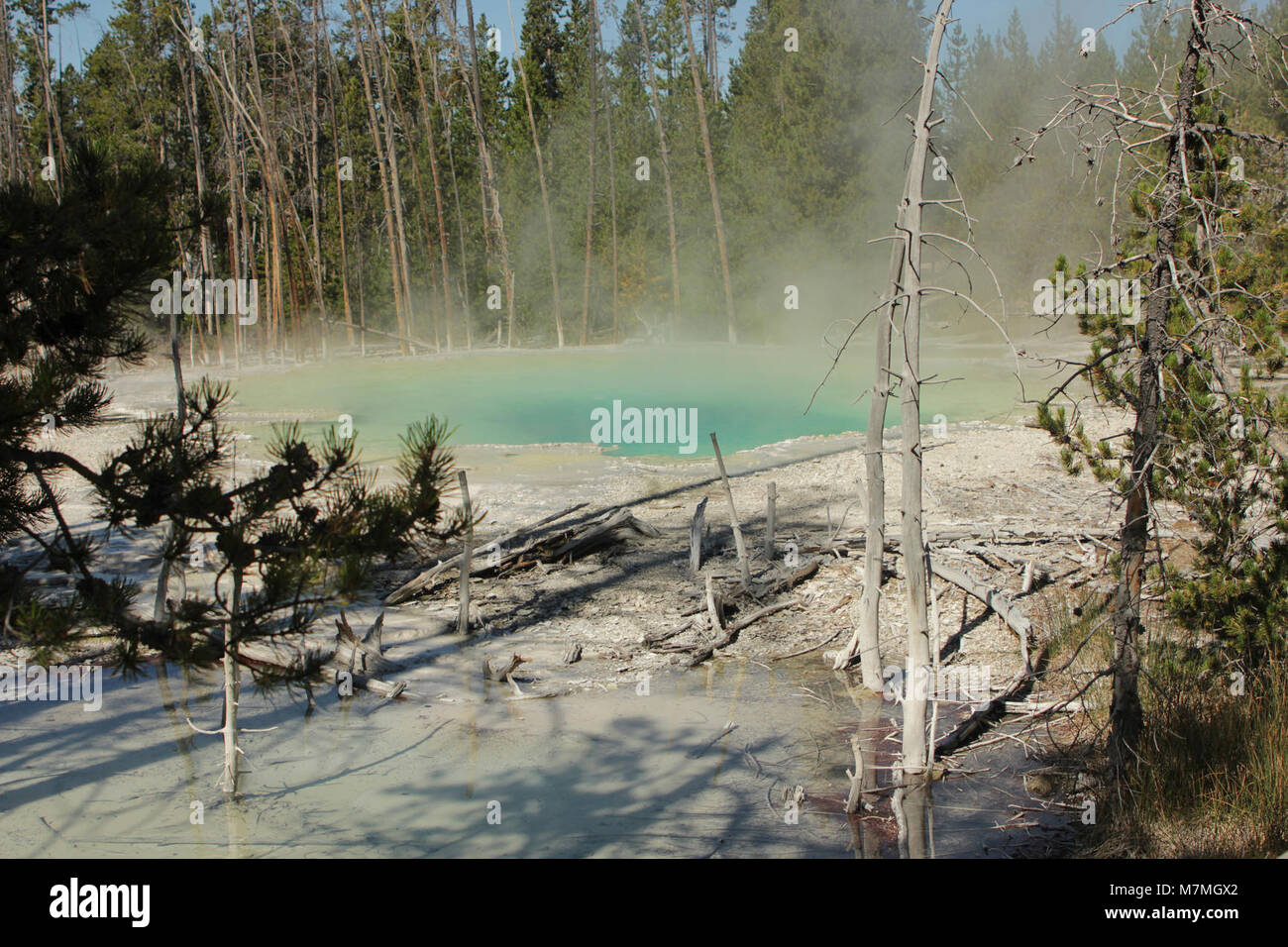 Cistern Spring Cistern Spring at Norris Geyser Basin Stock Photo - Alamy