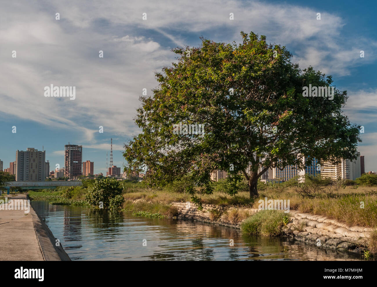 A view of Cañada del Paseo del Lago in Maracaibo, Zulia State ...