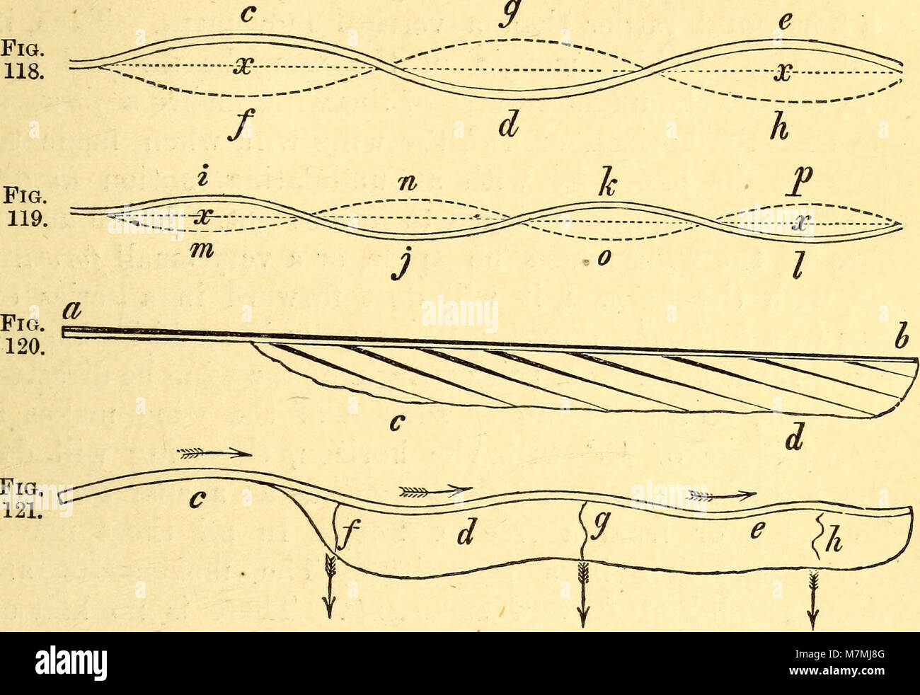 A 1874 work exploring animal locomotion, examining how animals walk ...