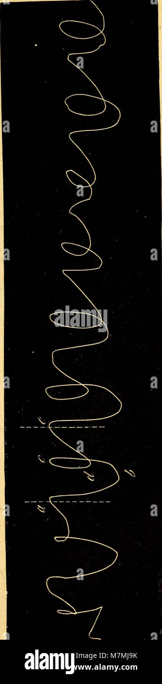 Aerial locomotion hi-res stock photography and images - Alamy