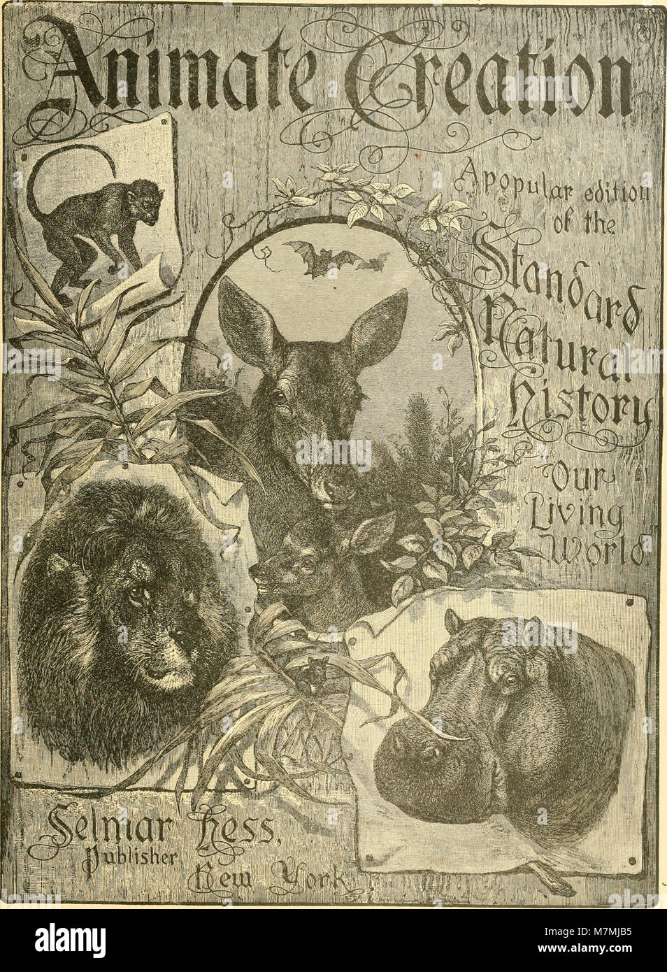 An illustration from the 1898 popular edition of 'Our Living World,' a ...