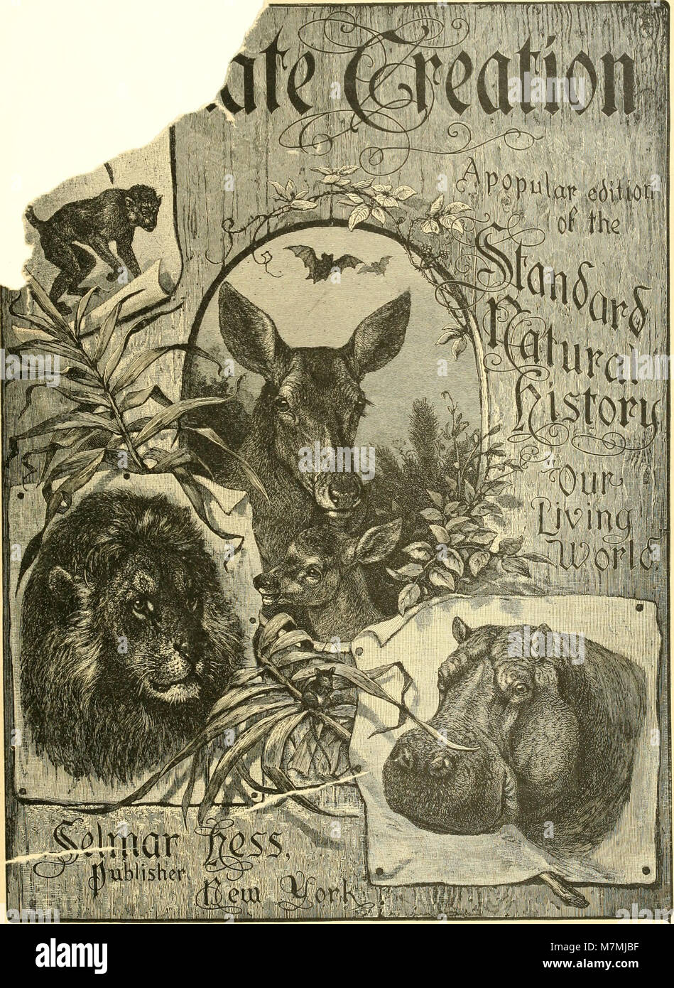 'Our Living World' (1898) presents the natural world through vibrant ...