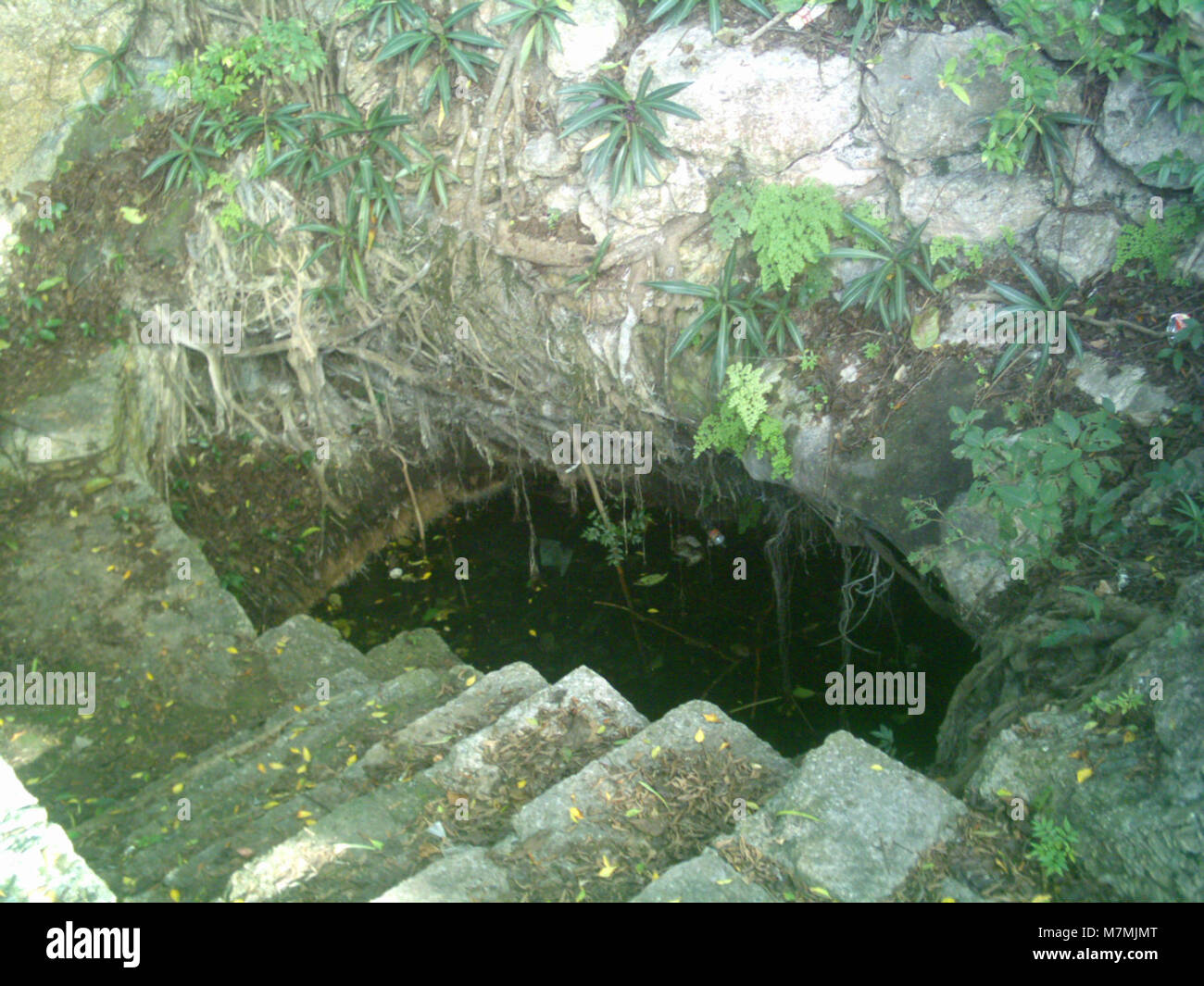 Cenotes yucatan hi-res stock photography and images - Alamy