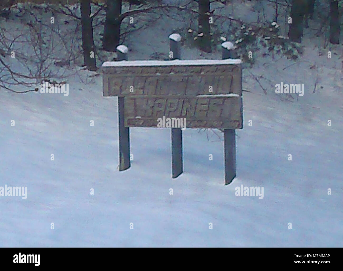 A photograph of the Rokantiškės Cemetery in Lithuania, showing its ...