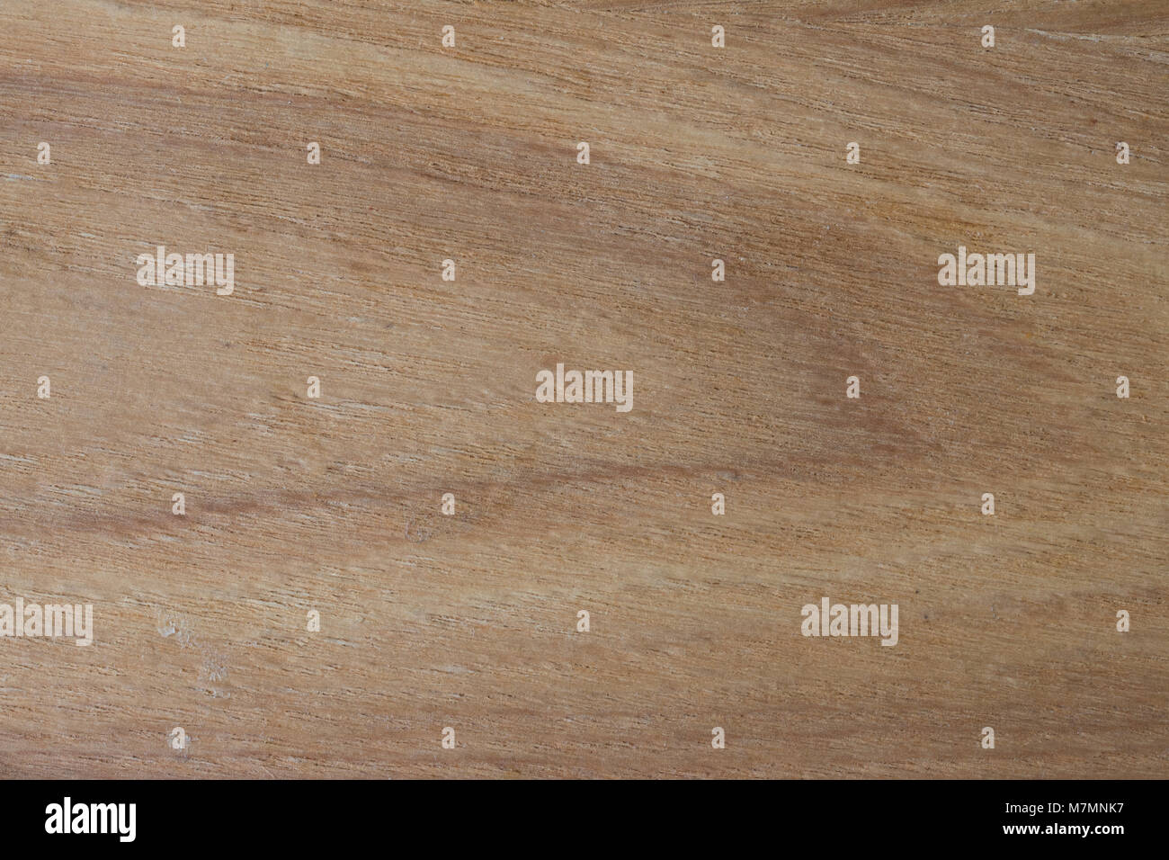 Wood texture. Surface of wood background for design Stock Photo - Alamy