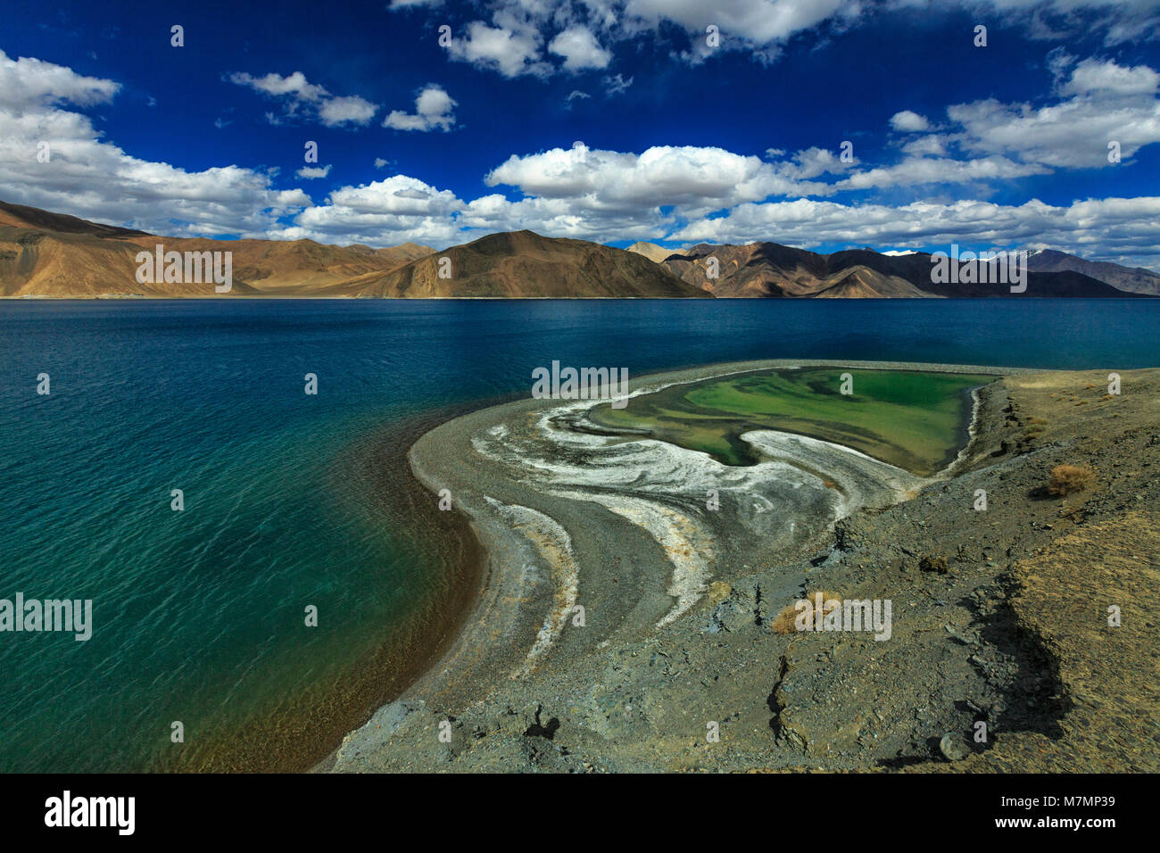 Colourful Water of Pangong Lake in Ladakh Stock Photo - Alamy